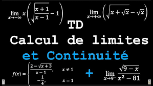 QCM MATHS Tle : Limites et continuité